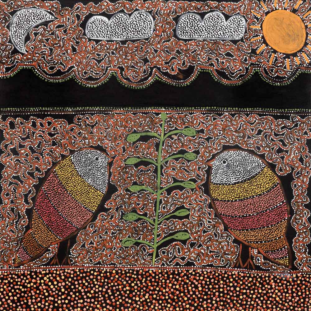 Birds That Live Around Yuendumu by Geraldine Napangardi | FRAMING TO A T