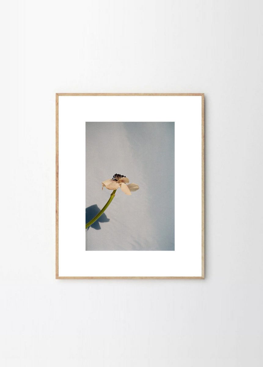 Poppy Pop by The Poster Club | FRAMING TO A T