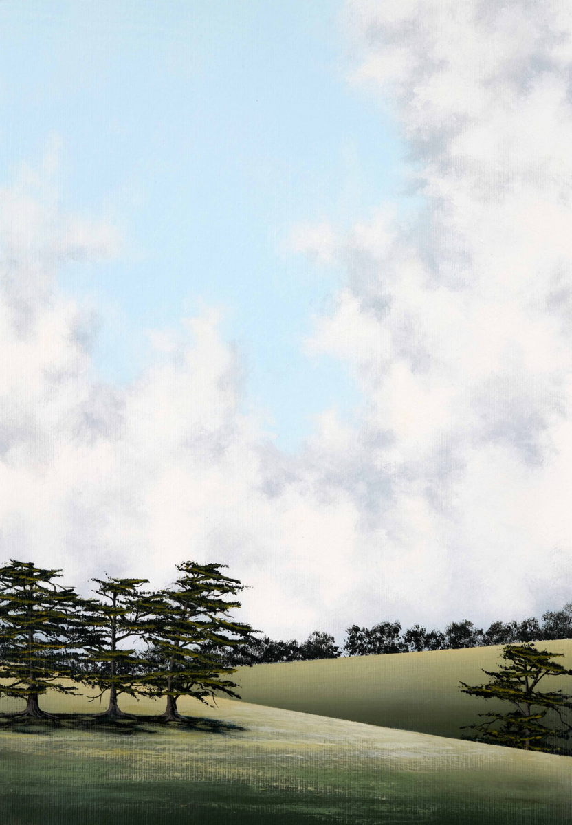 Cypress Hill by Debbie Mackenzie | FRAMING TO A T